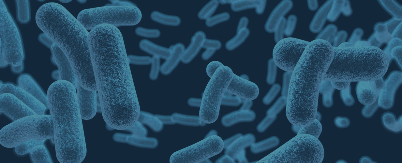 Micro 101 & EMP 101 – Navigate Food Safety Solutions