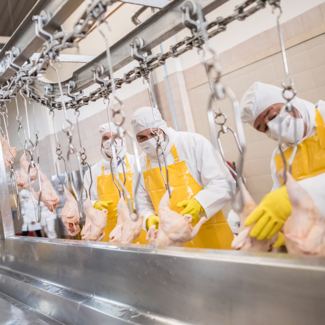 Navigate Food Safety Solutions