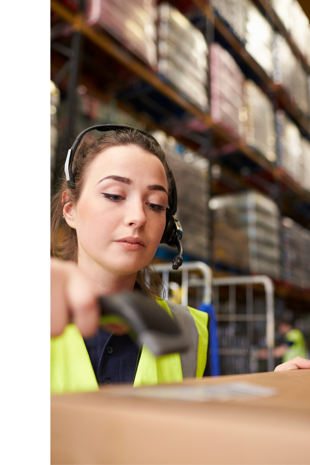 Ingredient & Supplier Approval Training – Navigate Food Safety Solutions